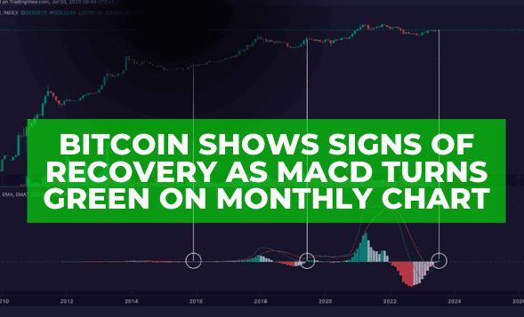 Bitcoin Shows Signs of Recovery as MACD Turns Green on Monthly Chart ... Bitcoin Shows Signs of Recovery as MACD Turns Green on Monthly Chart ...